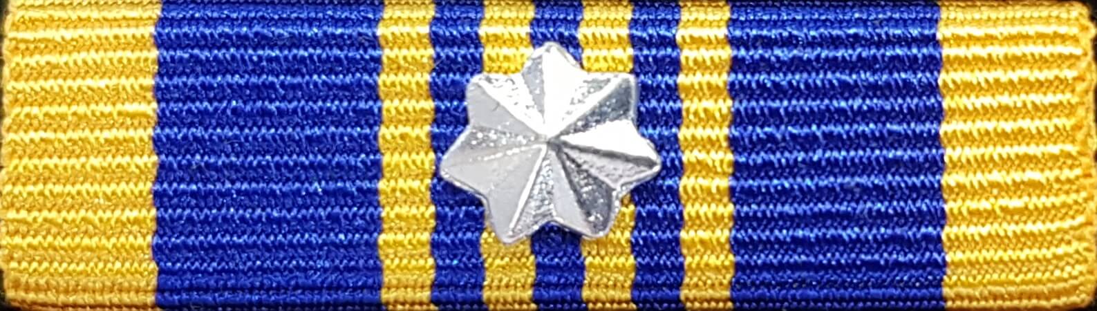 Defence Long Service Medal | ADF Members & Families | Defence