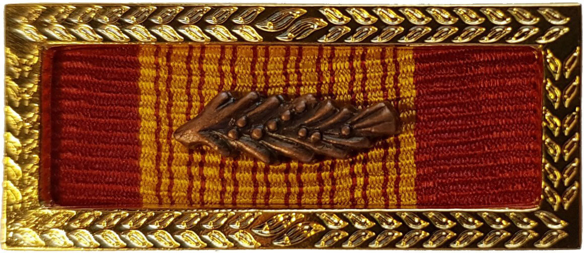 Vietnam Medal Of Gallantry