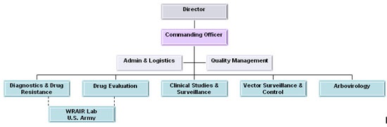 Australian Defence Organisation Chart Clipart