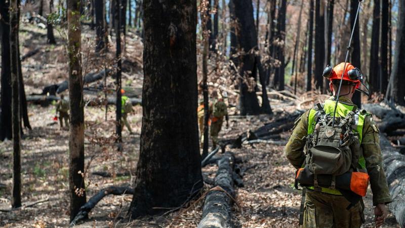 Medal recognises bushfire service | Defence