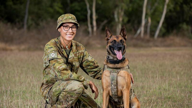 Dogs exercising their skills | Defence